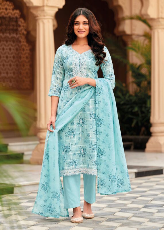 Elegant Blue Heavy Designer Traditional/Festive Special Pakistani Pant ...